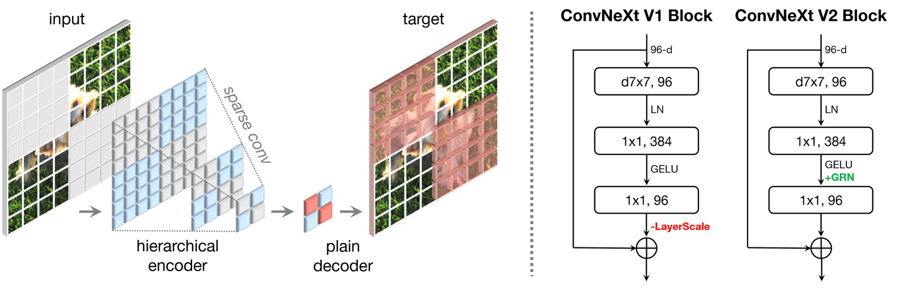 ConvNeXt V2：使用遮罩自编码器共同设计和扩展ConvNets – 借一步网
